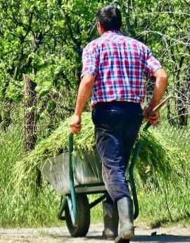 Plaas Werk – Plaas Werk In SA